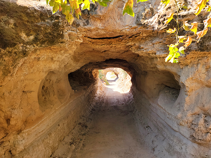 Light at the end of the tunnel isn't just a metaphor here&mdash;it's brilliant architectural design that makes underground living possible.