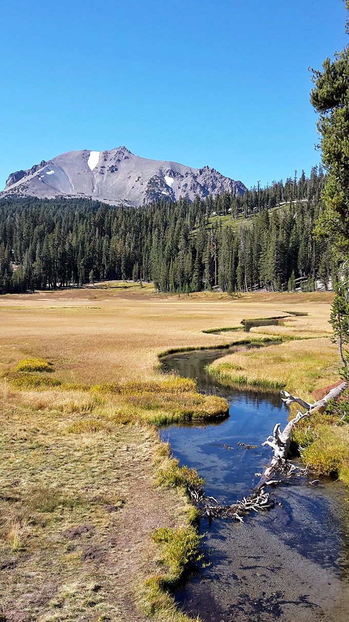 Lassen Peak watches over golden meadows where Kings Creek begins its journey, completely unaware of its upcoming dramatic plunge.