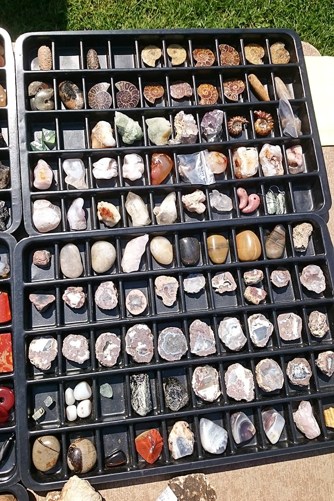 Earth's geological wonders neatly categorized in portable form. Each tiny compartment holds millions of years of planetary history for just a few dollars.
