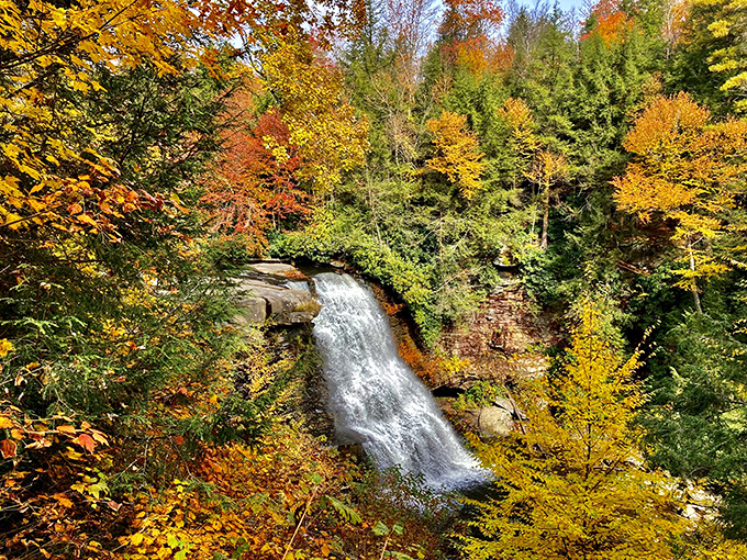 Fall foliage creates nature's perfect frame for the waterfall. It's like the trees decided to dress up for their annual portrait session.