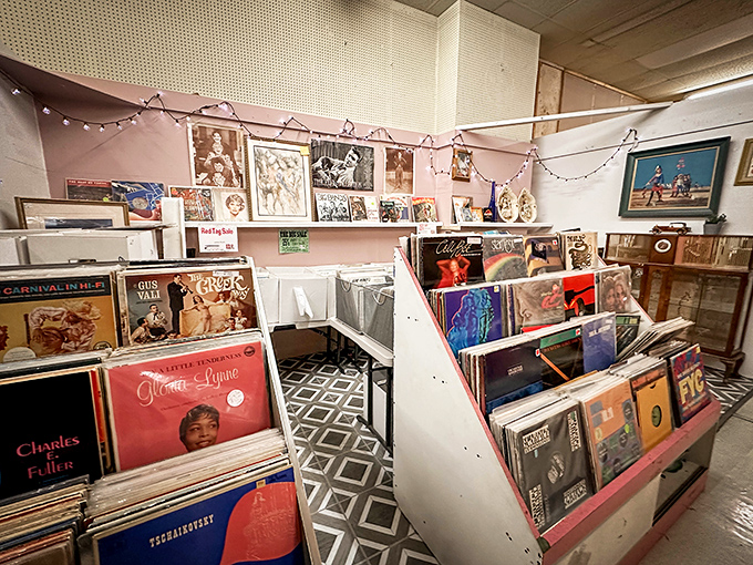 Music lovers' paradise where vinyl records hold the soundtrack to every generation's greatest hits and memories.