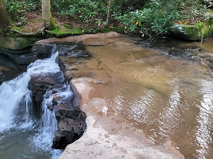 Nature's infinity pool: crystal clear waters create perfect reflections of the surrounding forest, no Instagram filter required.
