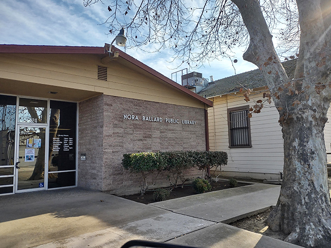 The Nora Ballard Public Library &ndash; where books still matter and librarians know your name instead of your search history.