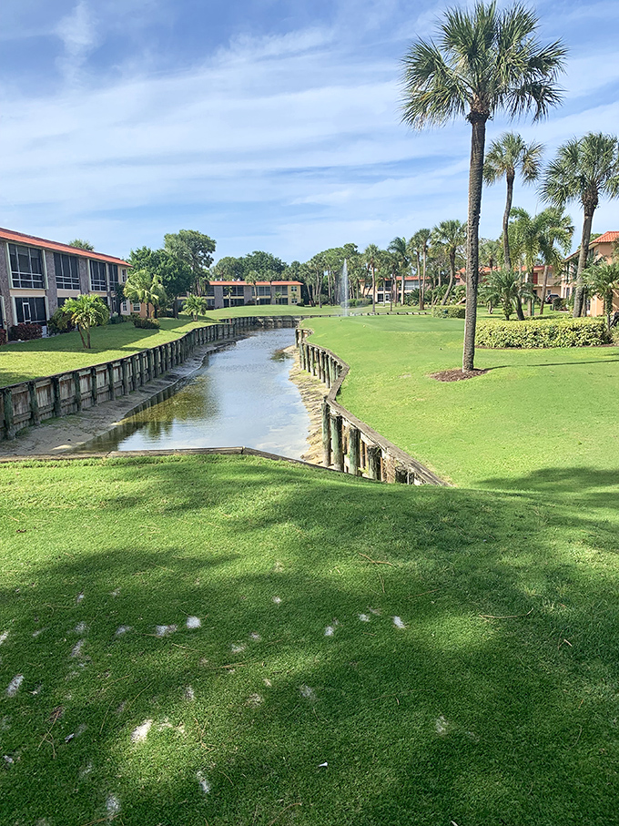 Waterways weave through manicured lawns like blue ribbons on a gift. Florida retirement wrapped in postcard-perfect scenery.