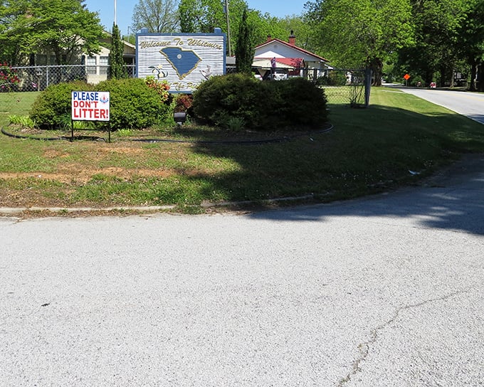 Whitmire's welcome sign stands guard, a humble greeter that says "We may be small, but we're worth the detour."
