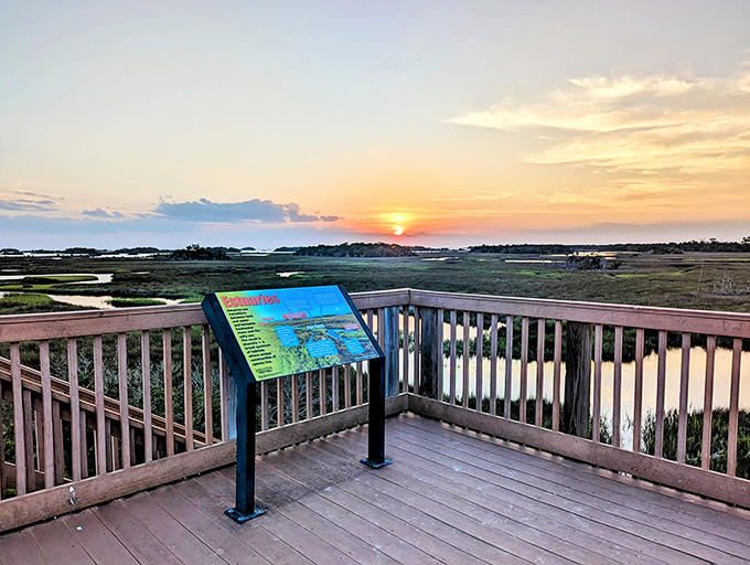 Sunset at Withlacoochee Gulf Preserve &ndash; Mother Nature's way of showing off that she doesn't need filters or special effects to create magic.