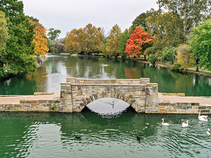 Yoctangee Park's stone bridge and autumn colors create a postcard-worthy scene that costs nothing but offers everything to the soul.