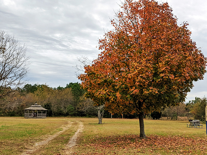 Fall foliage that puts Instagram filters to shame. Mother Nature showing off her autumn wardrobe against a perfectly rustic backdrop.