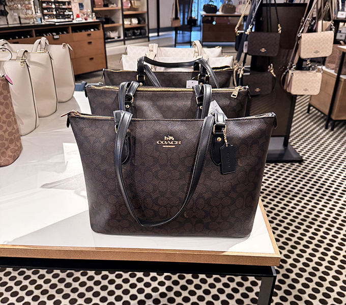 Coach handbags lined up like soldiers&mdash;each one a potential companion for countless future compliments and "You paid WHAT?" conversations.