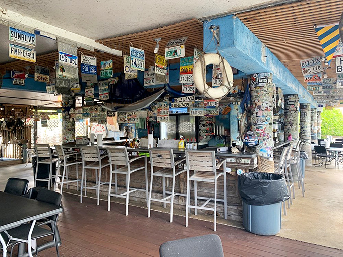 The bar stretches along the water where cold beers taste better and fishing stories grow taller with each sip.