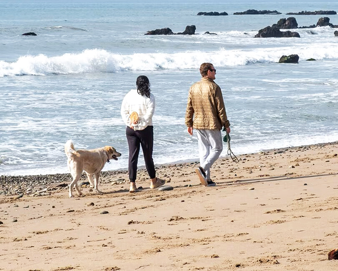 Morning beach walks with four-legged companions &ndash; the ultimate Carpinteria therapy session. No psychiatrist's couch can compete with sand between your toes and waves as background music.