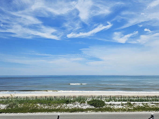 The unobstructed beach views along A1A offer a daily masterpiece of sea, sand, and sky that no museum could ever match.