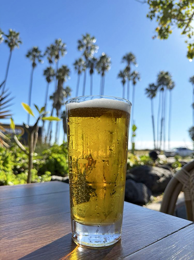 A cold beer against the backdrop of Santa Barbara palm trees &ndash; nature's way of saying, "You're doing vacation right."