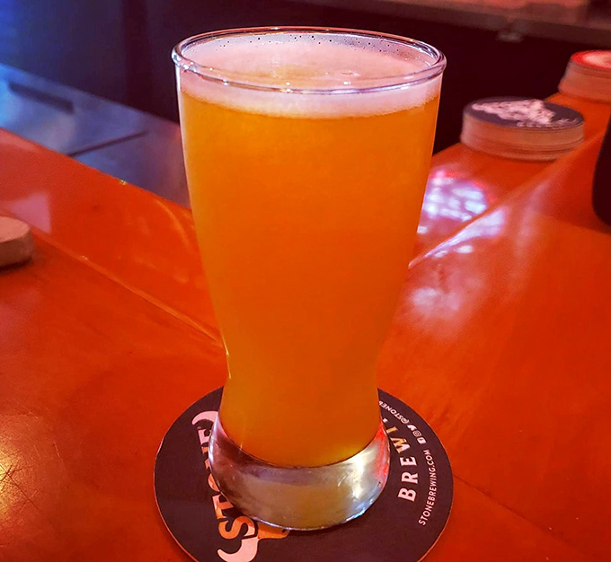 A perfectly poured pint catching the tavern's ambient glow &ndash; because sometimes the best companion to great food is a beer with no identity crisis.