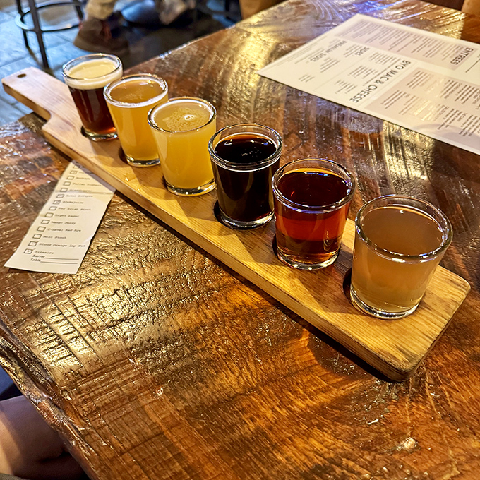 Six liquid personalities lined up like suspects in a delicious crime. Each sip tells a different story about Ohio's brewing heritage.