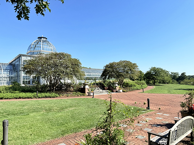 The conservatory stands sentinel over manicured lawns, its glass dome capturing clouds and sunshine. Architecture and nature in perfect harmony.