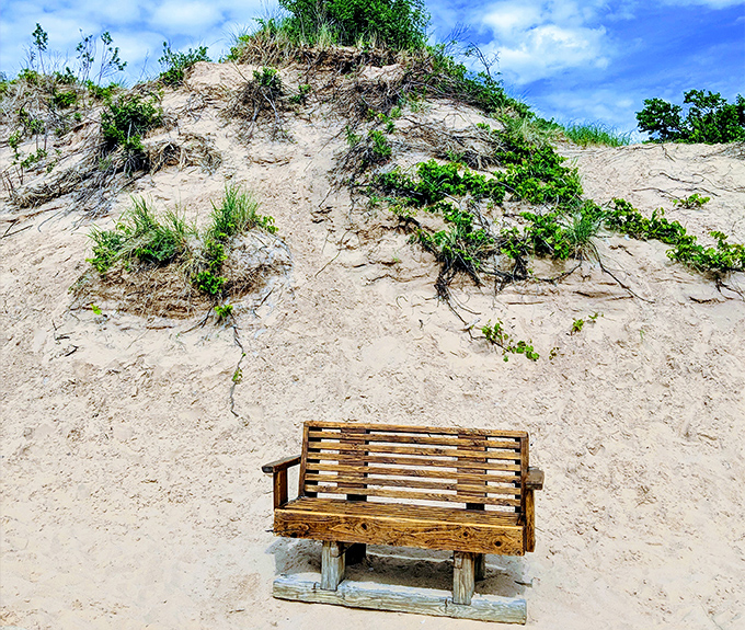 The world's most optimistically placed bench. "Exhausted from climbing 450 feet of shifting sand? Here's a seat with a view!"