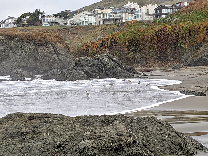 Pelicans commute past like they're running late for a board meeting at the pier.