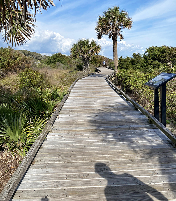 Wooden boardwalks winding through coastal vegetation—where every step forward is a step away from everyday stress.