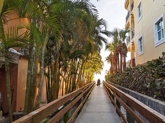 Palm-lined walkways create natural tunnels to paradise. This wooden boardwalk offers the perfect transition from "regular life" to "beach mode."