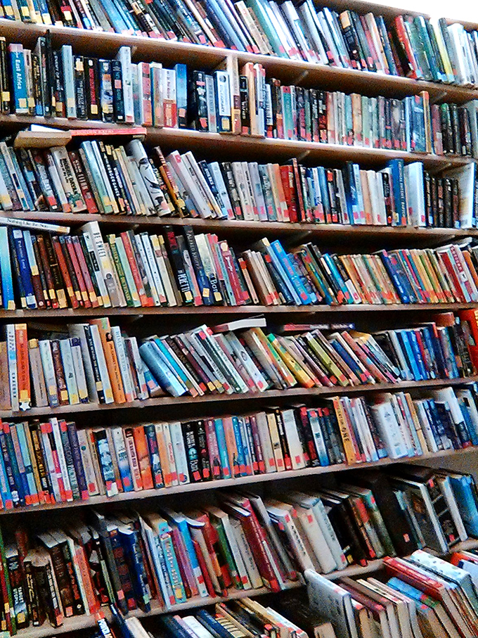 The book section: a library where every volume costs less than a latte. Literary adventures stacked floor to ceiling, waiting to be discovered.