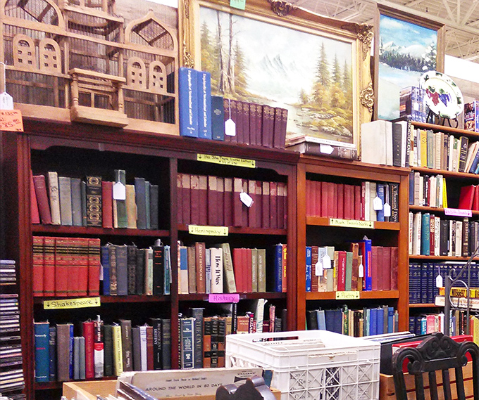 A bibliophile's dream corner where leather-bound classics share shelf space with forgotten bestsellers. That landscape painting above? Just the cherry on top.