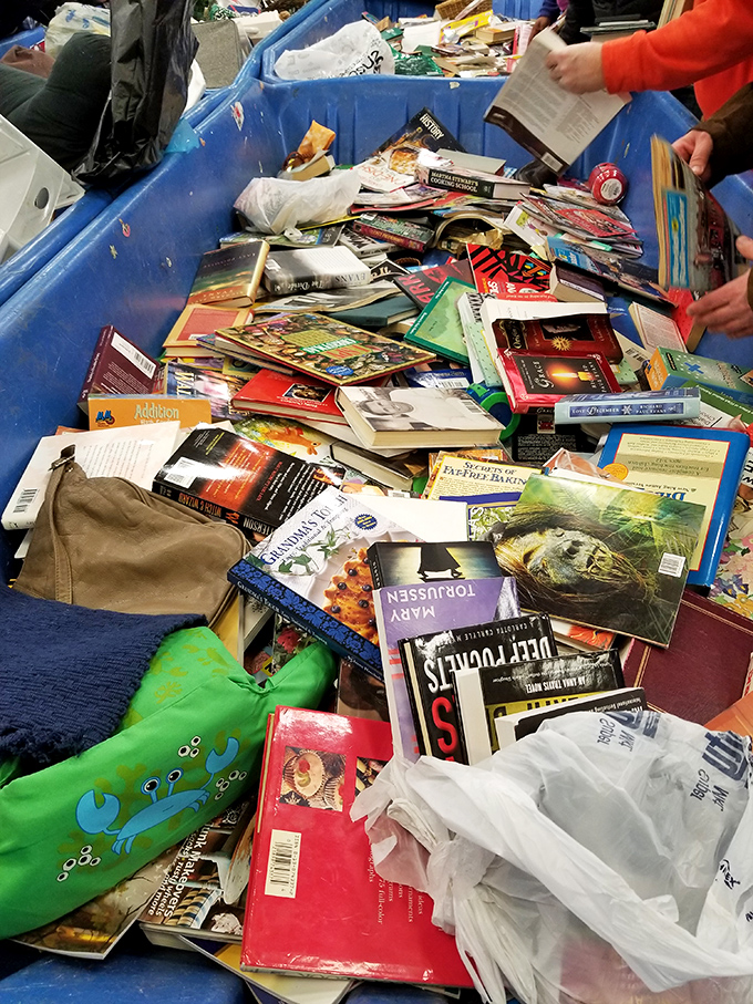 Literary archaeology at its finest &ndash; dig through layers of cookbooks, bestsellers, and forgotten gems. That green frog pencil case is just a bonus.