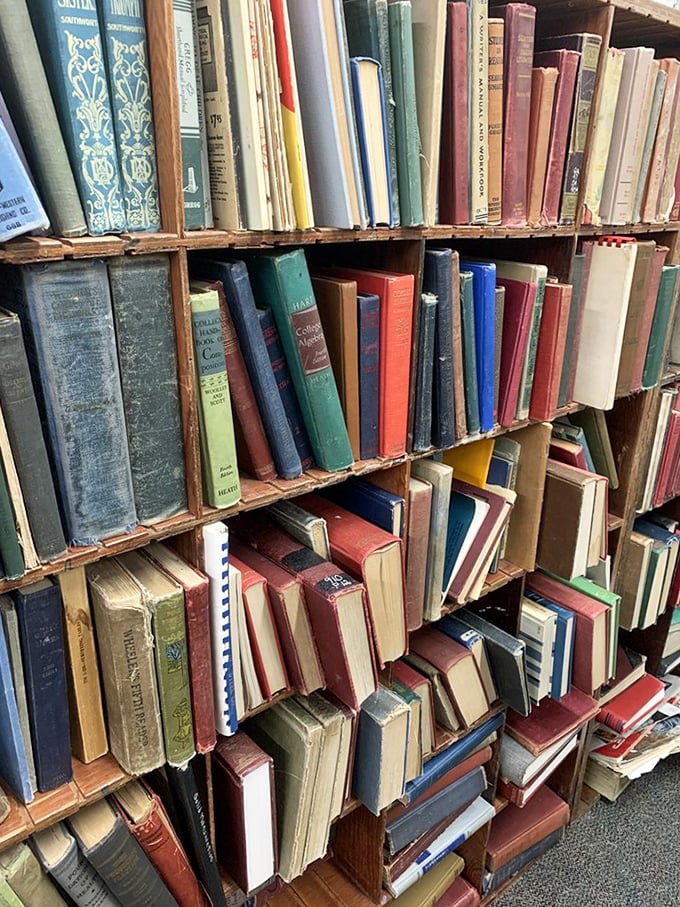 Books arranged not by algorithm but by human hands&mdash;spines faded by time but stories still vibrant within those well-worn covers.