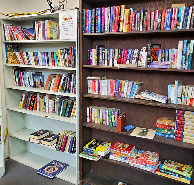 Bibliophile paradise! From bestsellers to forgotten classics, these shelves hold stories waiting for their next chapter.