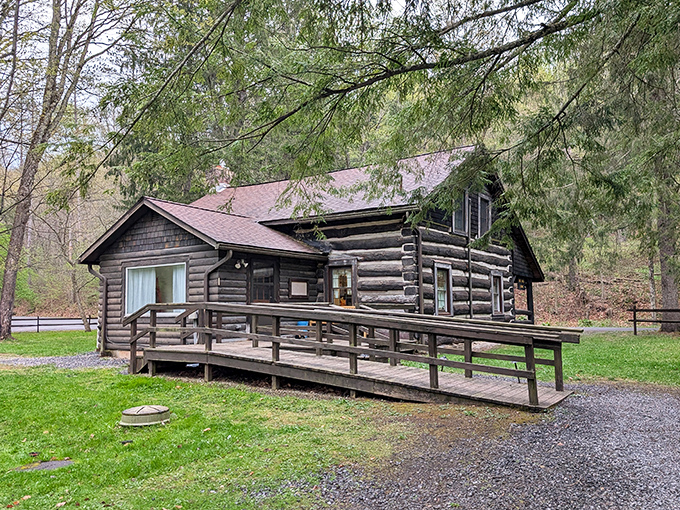 The historic cabin looks like something Laura Ingalls Wilder would approve of, minus the prairie and plus electricity.