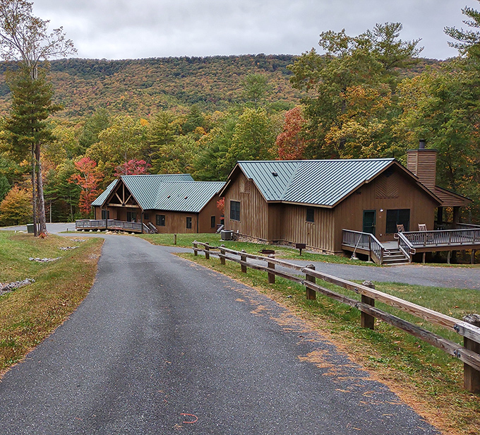 Modern cabins nestled against autumn's canvas. After a day of hiking, these welcoming porches become front-row seats to nature's sunset show.