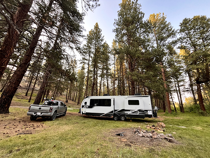 RV camping among the pines – where "roughing it" still includes your own bed and a coffee maker.