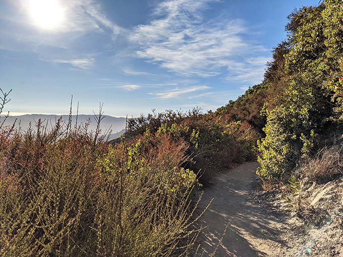 Chaparral and coastal scrub frame your journey. This sun-drenched trail offers the perfect balance of challenge and charm.