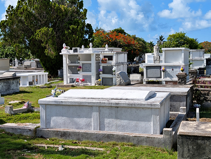 Sunlight dapples through tropical foliage, casting gentle shadows across the final resting places of sailors, settlers, and colorful local characters.