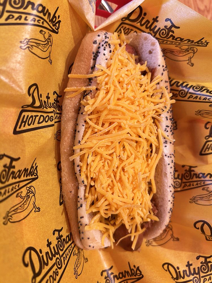 Four distinct personalities on display—from classic chili cheese to what appears to be a pickle-topped creation that would make your grandmother both confused and proud.