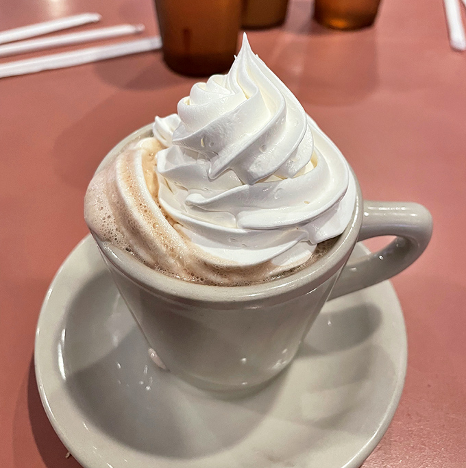 Hot chocolate elevated to art form with a cloud of whipped cream so perfect it belongs in a museum dedicated to simple pleasures.