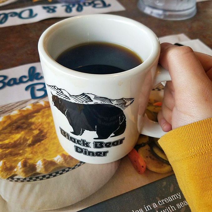 That bear-adorned mug isn't just holding coffee; it's cradling liquid motivation to face whatever Northern California adventure awaits you today.