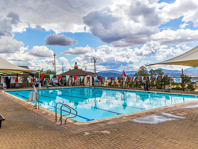 The community pool where "doing laps" often means walking from your chair to the snack bar and back again.