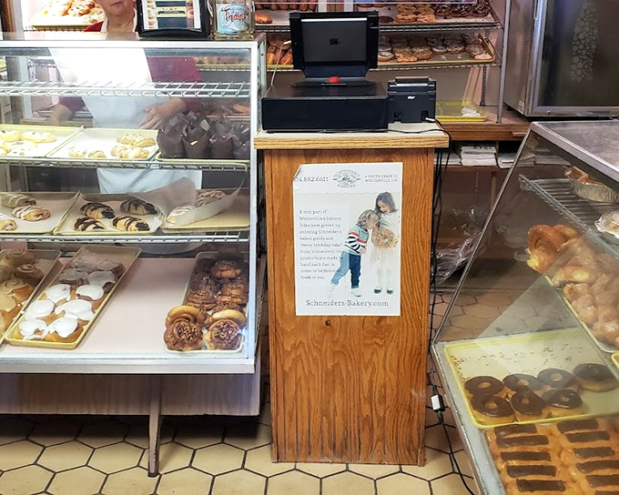 Behind the counter, where donut dreams become reality and willpower goes to die a sweet, glorious death.