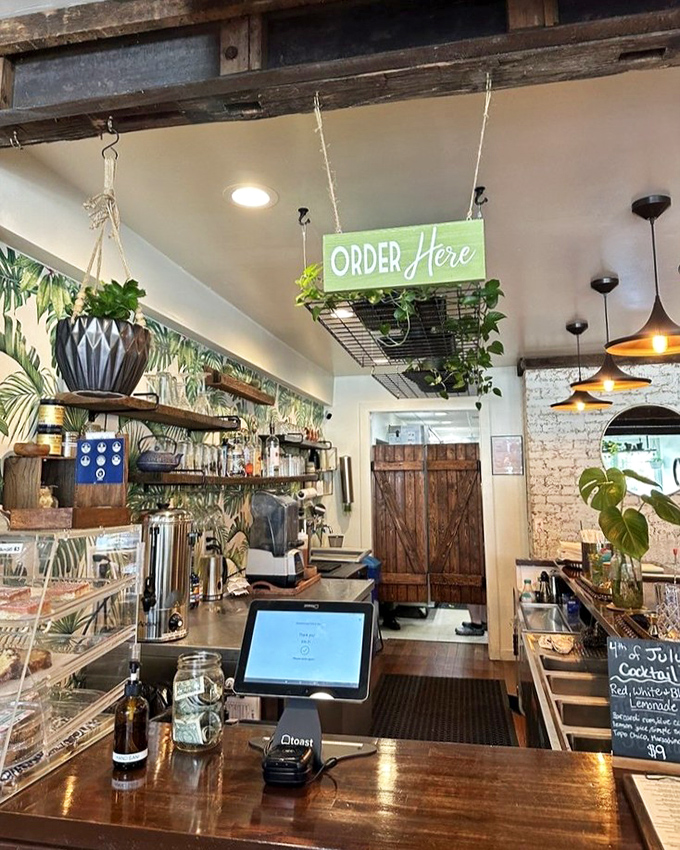 The ordering counter where dreams come true, complete with hanging plants that make you feel like you're dining in a stylish urban jungle.