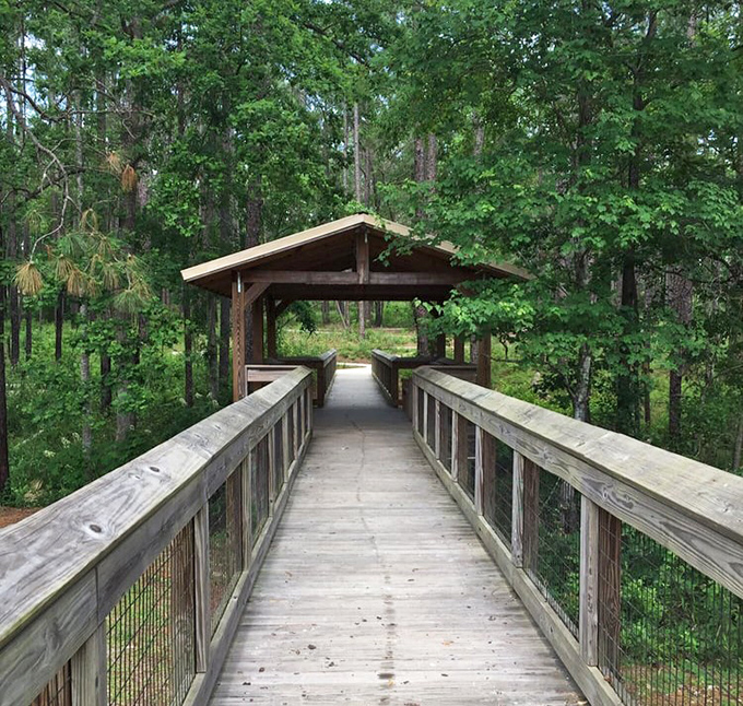 Not all bridges need to cross rivers &ndash; this shaded wooden passage offers respite from Florida's famous "instant sunburn" sunshine.