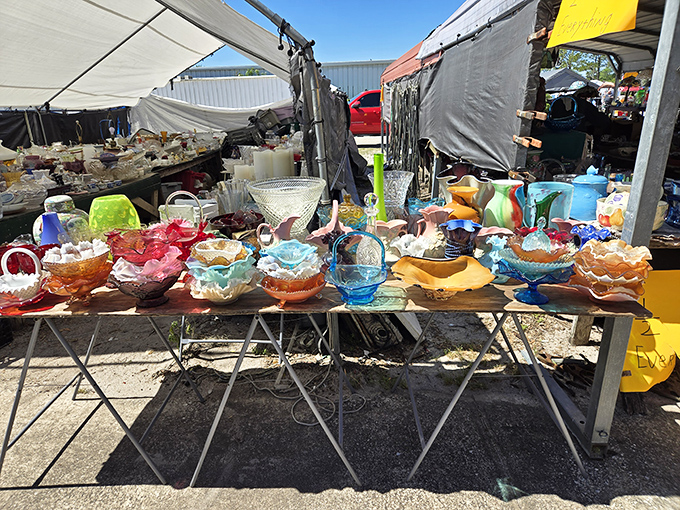 Colorful carnival glass catches the Florida sunshine, creating a tabletop rainbow that would make your grandmother's china cabinet jealous.
