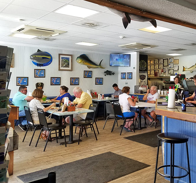 Where locals gather under mounted fish to debate important matters like whether today's catch is better than yesterday's. The taxidermy has heard it all.