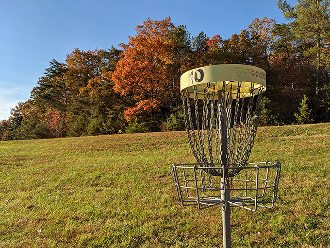 Even disc golf gets an upgrade when your backdrop looks like something from a fantasy novel.