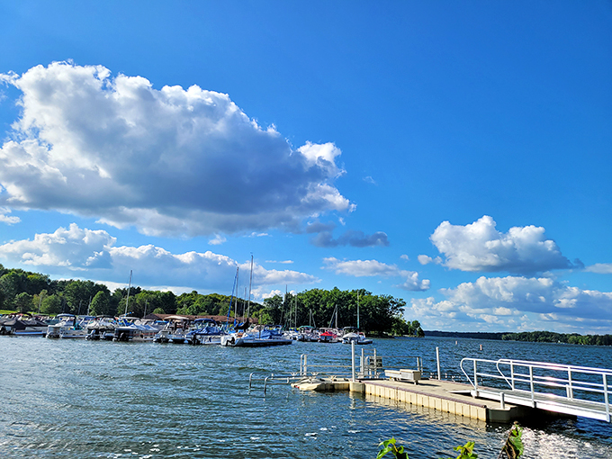The marina stands ready for summer adventures, boats bobbing like eager puppies waiting for their owners to say "let's go!"