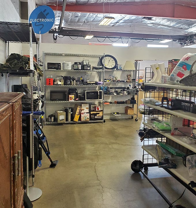 The electronics section: where yesterday's must-have gadgets await their second act. That microwave has seen things, but it's ready for your kitchen counter.