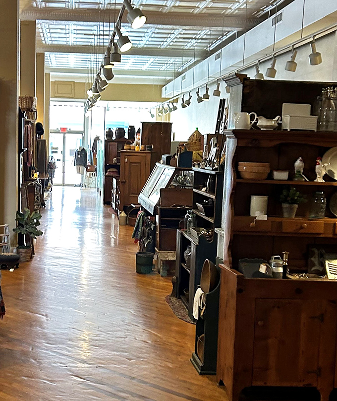 Warm wood tones and carefully curated displays invite exploration. Like walking through the world's most interesting grandmother's house.