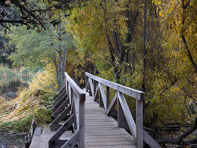 A rustic footbridge crosses gentle waters, surrounded by golden willows. If trolls lived under bridges, they'd choose upscale real estate like this.
