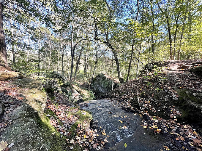 Spring in Ohio isn't just about baseball's return – it's about discovering trails where sunlight dapples through fresh leaves onto ancient stone paths.