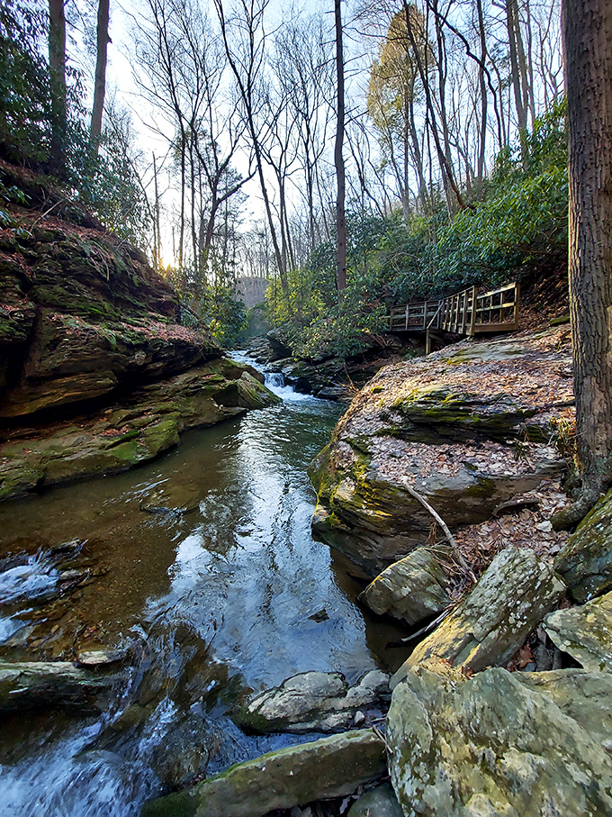 Crystal-clear streams dance through ancient stone corridors, proving Pennsylvania's wilderness holds secrets worth discovering and protecting.